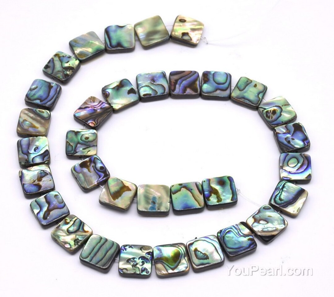 Abalone Paua Shell, 10mm 12mm 14mm 16mm Genuine Square Abalone Shell ...