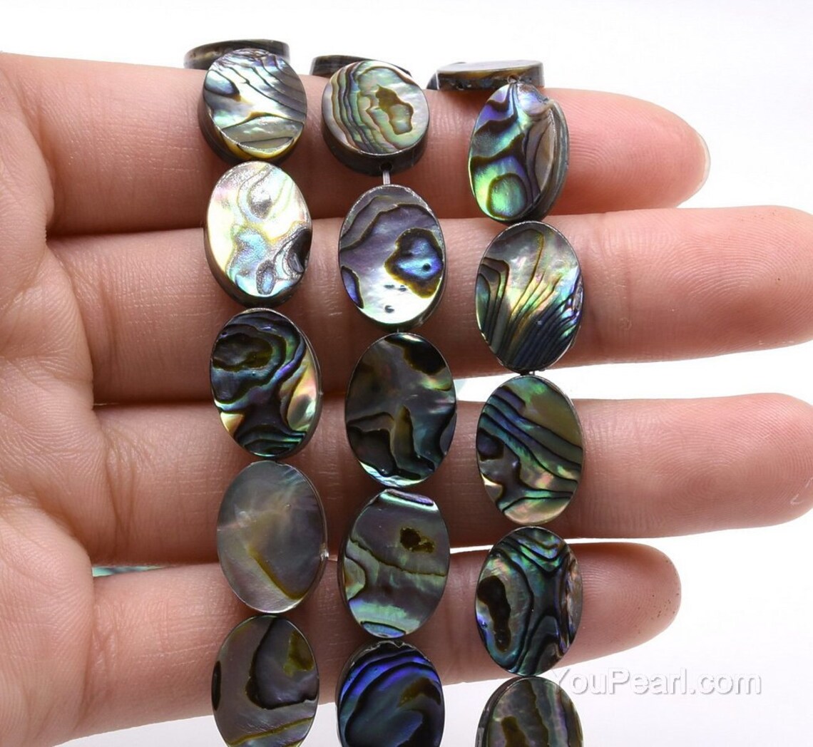 Abalone Paua Shell Beads 8x12mm 10x14mm 13x18mm 15x20mm Oval - Etsy