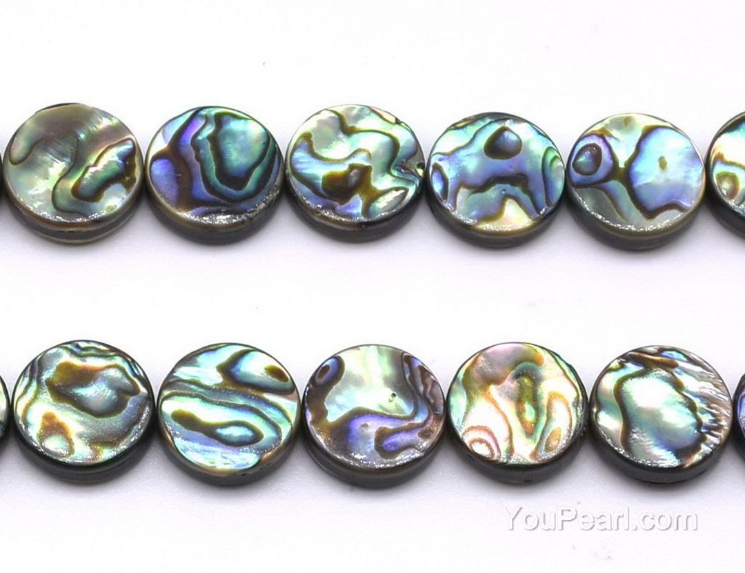 Abalone Beads, 10mm 12mm 14mm Natural Round Shape Abalone Paua Shell ...
