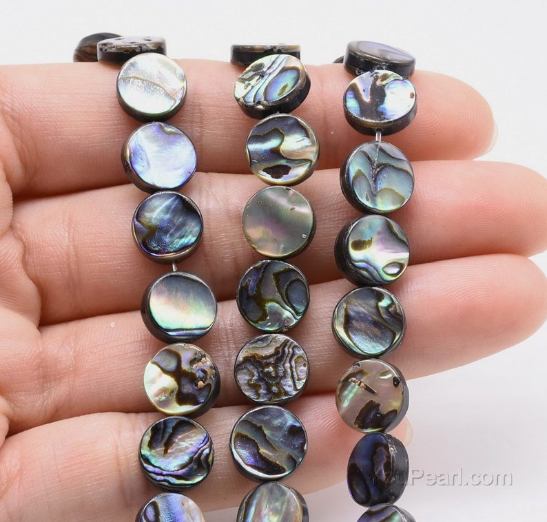 Abalone Beads, 10mm 12mm 14mm Natural Round Shape Abalone Paua Shell ...