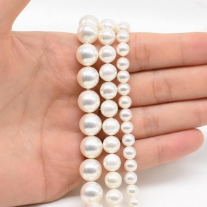 Glossy White Shell Pearl, 6mm 8mm 10mm A Grade White Glossy Rainbow ...
