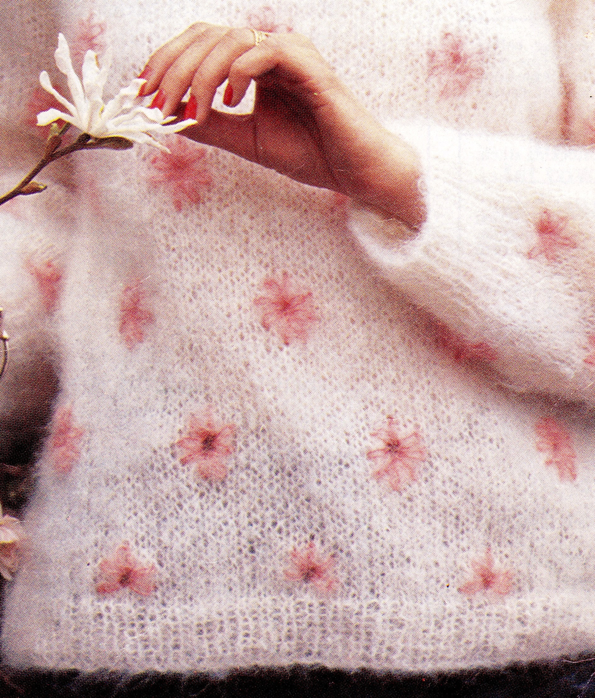 Women's Daisy Sweater. Soft Femine Fluffy Mohair Knit - Etsy