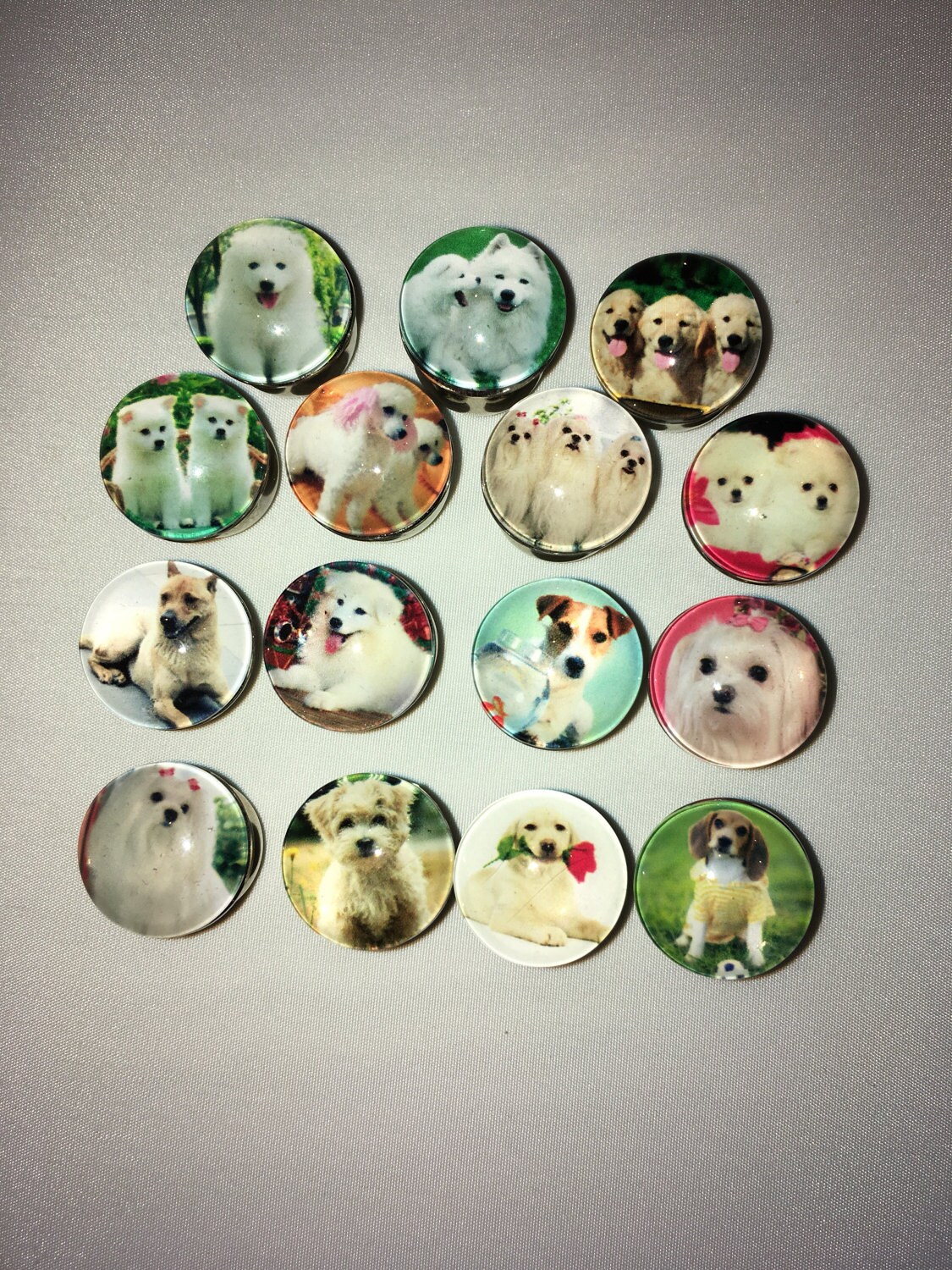Dog Snaps Bottons Noosa Snaps Snap Jewelry Cabochon Snaps - Etsy