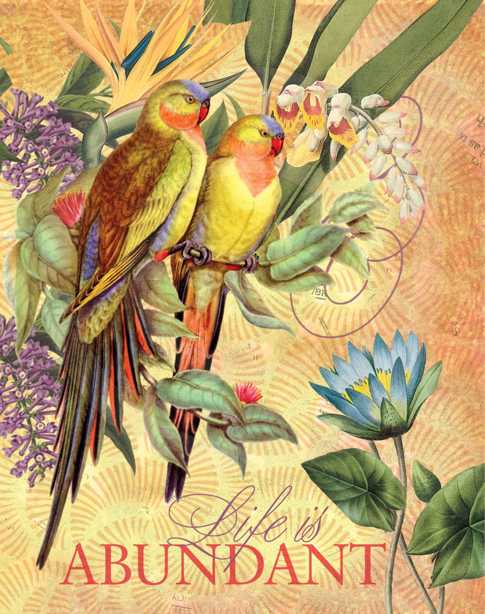 Tropical Birds, Tropical Bird Artwork, Tropical Bird Art Print ...