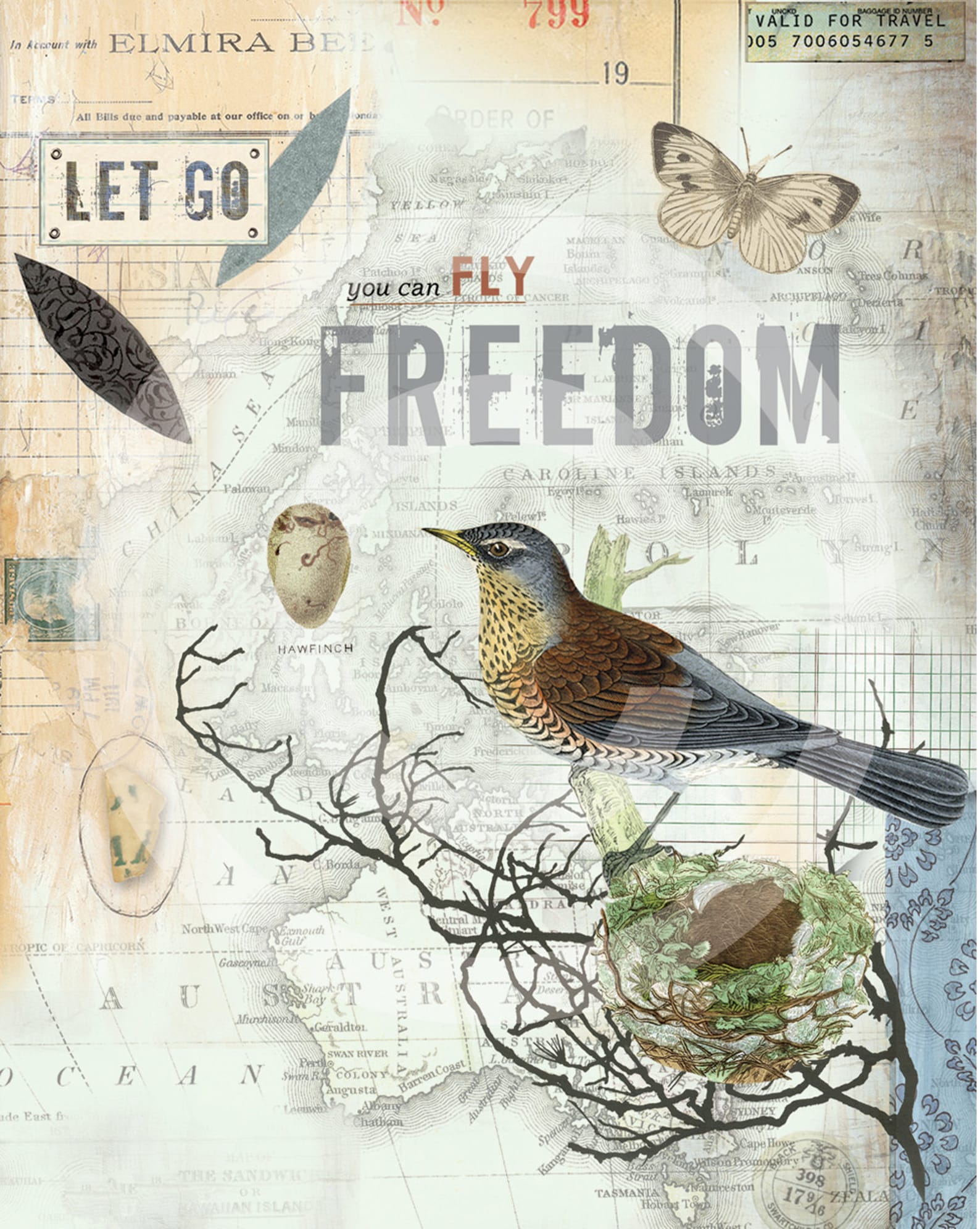 Bird Artwork Bird Art Print Bird Wall Art Bird Prints Let - Etsy