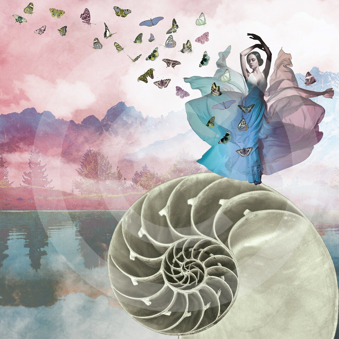 Nautilus, Nautilus Art, Custom Photos, Custom Gifts, Dancer ...