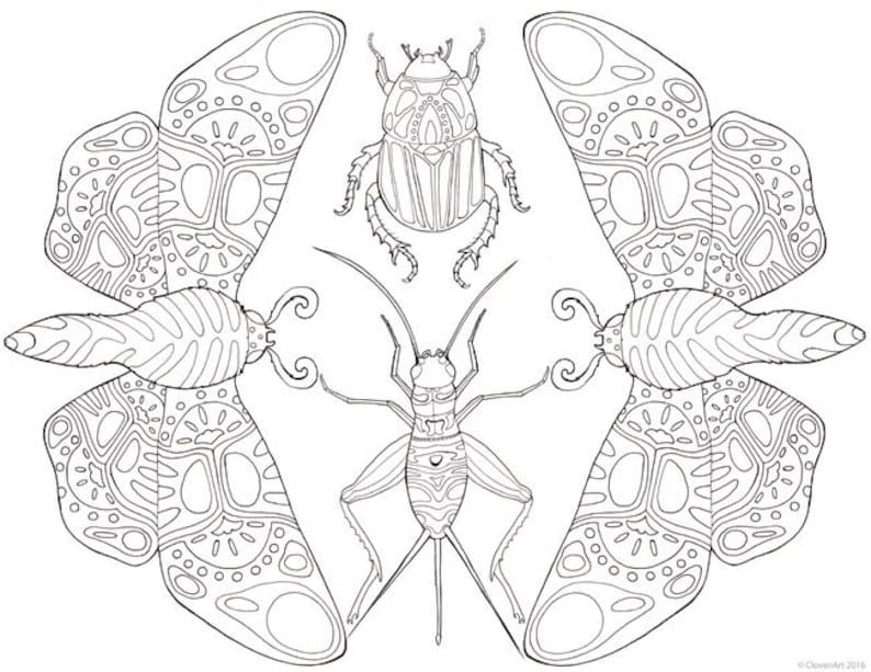 Printable Adult Coloring Page Mandala Insects Moths Beetles Crickets ...