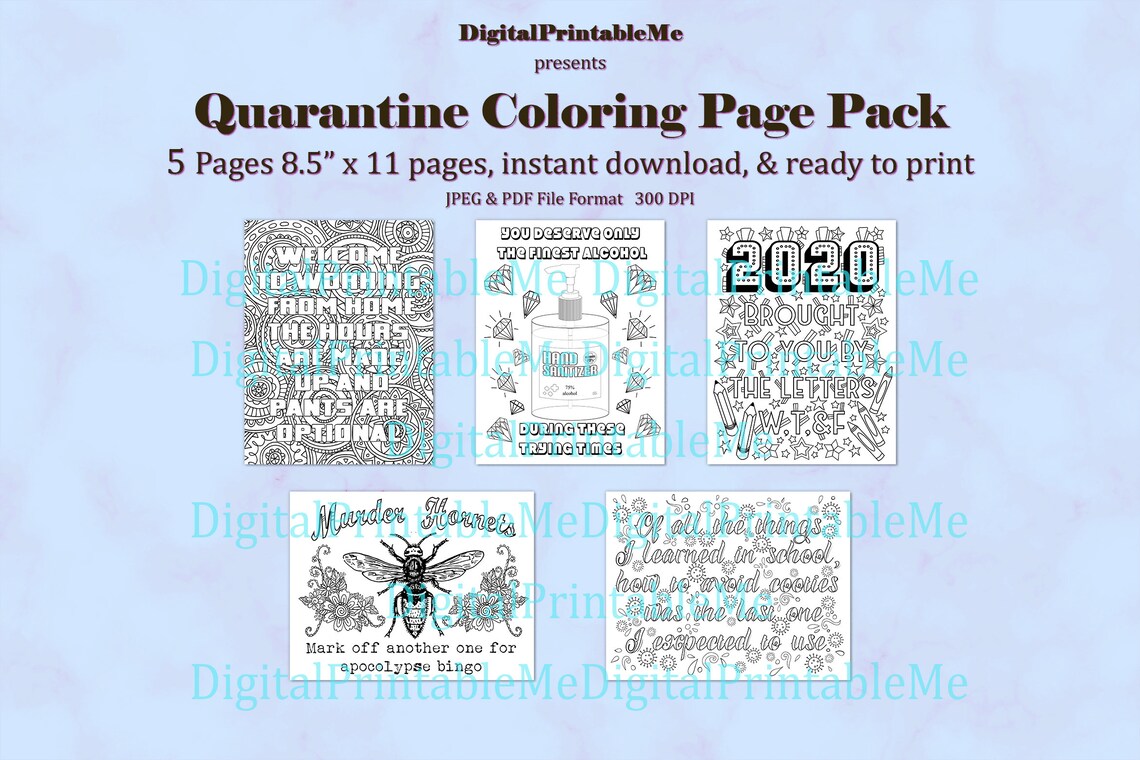 Printable Quarantine Survival Guide A Snarky Adult Activity & Coloring ...