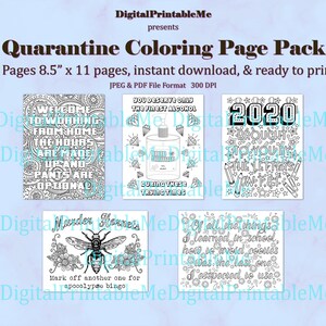 Printable Quarantine Survival Guide A Snarky Adult Activity & Coloring ...