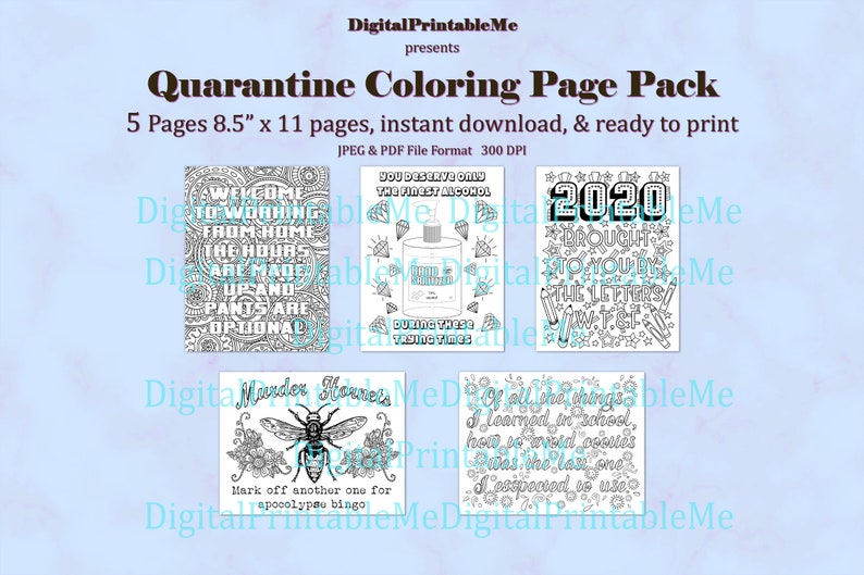Printable Quarantine Survival Guide A Snarky Adult Activity & Coloring ...