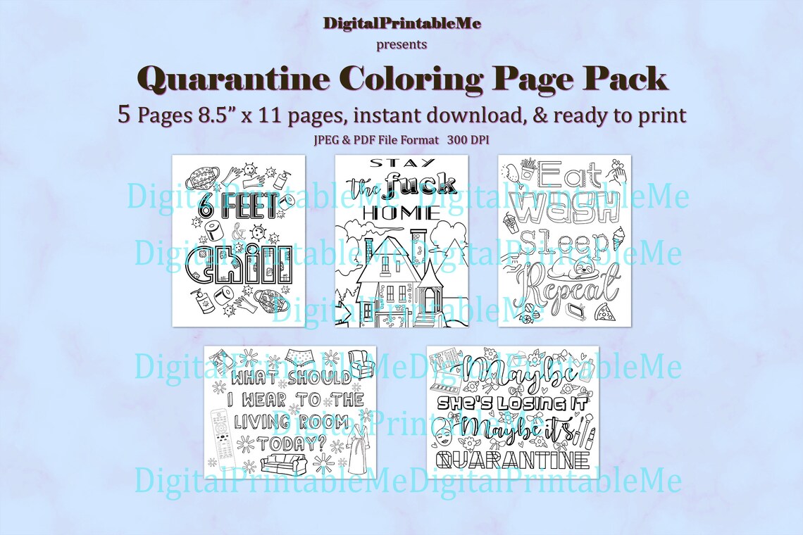 Printable Quarantine Survival Guide A Snarky Adult Activity & Coloring ...