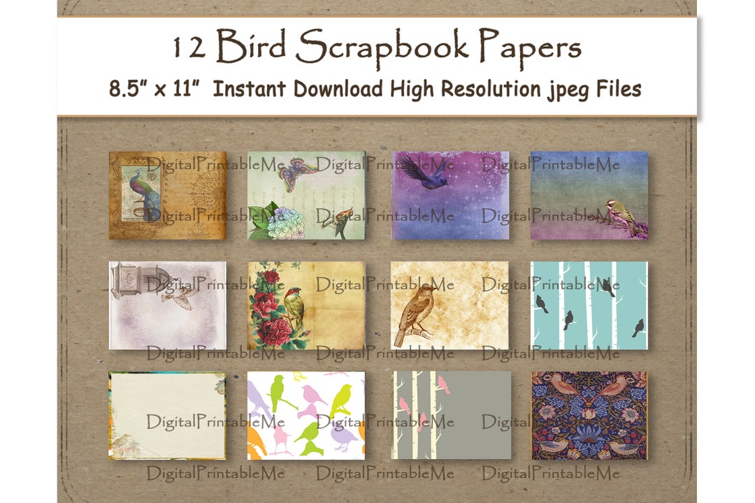 Bird Digital Paper 8,5 X 11 Scrapbook Paper Pages 12 Printable, Shabby ...