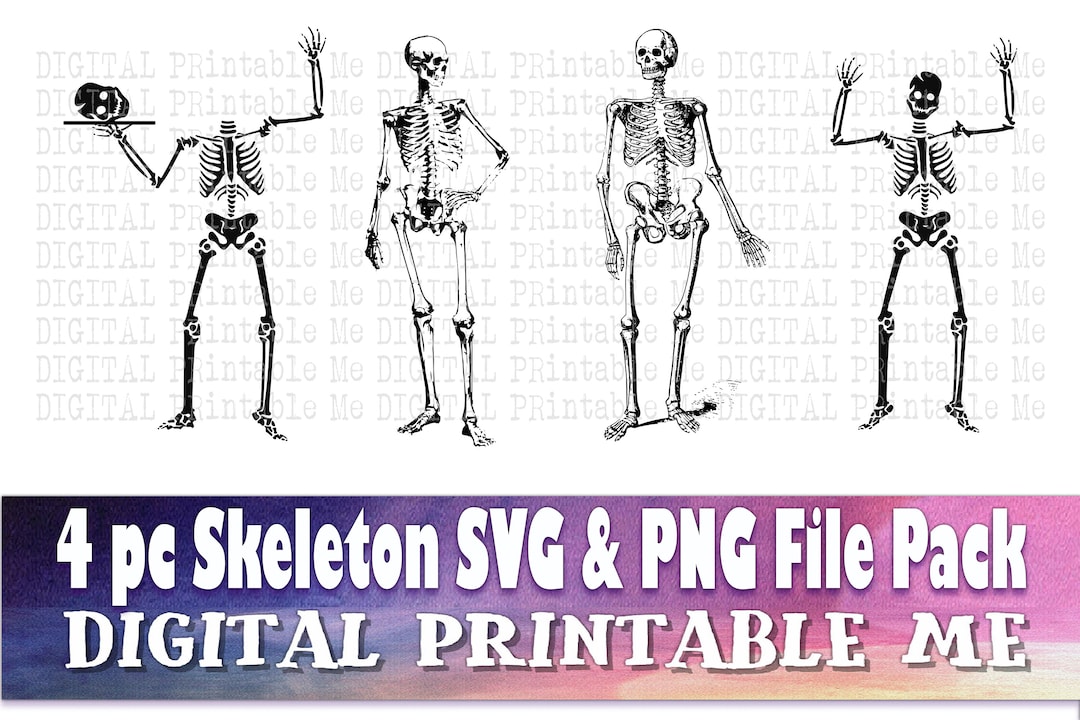 Skeleton SVG PNG 4 Images, Clip Art Pack, Instant Download, Digital, S ...
