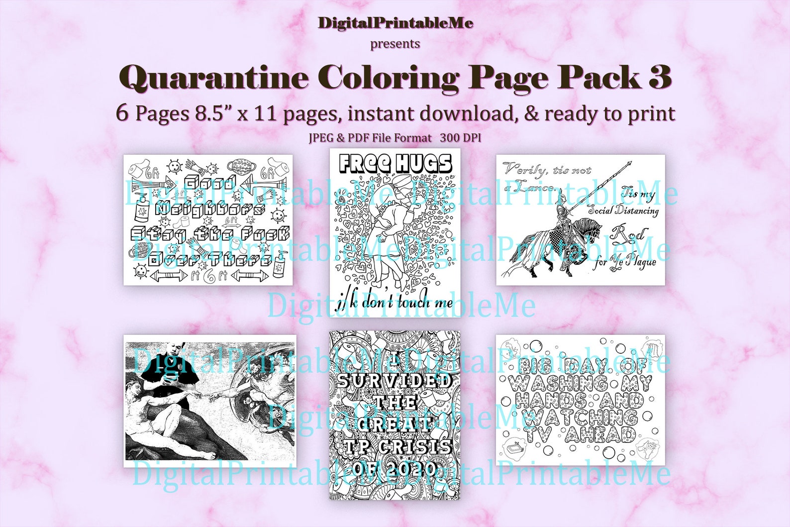 Printable Quarantine Survival Guide A Snarky Adult Activity & | Etsy
