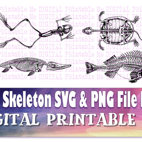 Turtle Anatomy Svg - Etsy