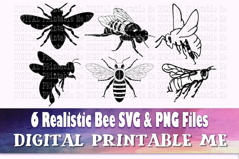 Bees Svg Bundle Realistic Bee Silhouette Outline PNG Clip - Etsy