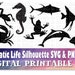 Aquatic Life, Svg Bundle, Silhouette, PNG, Clip Art, 9 Digital, , Crab ...