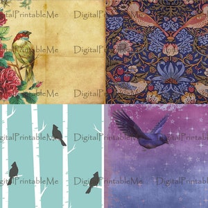 Bird Digital Paper 8,5 X 11 Scrapbook Paper Pages 12 Printable, Shabby ...