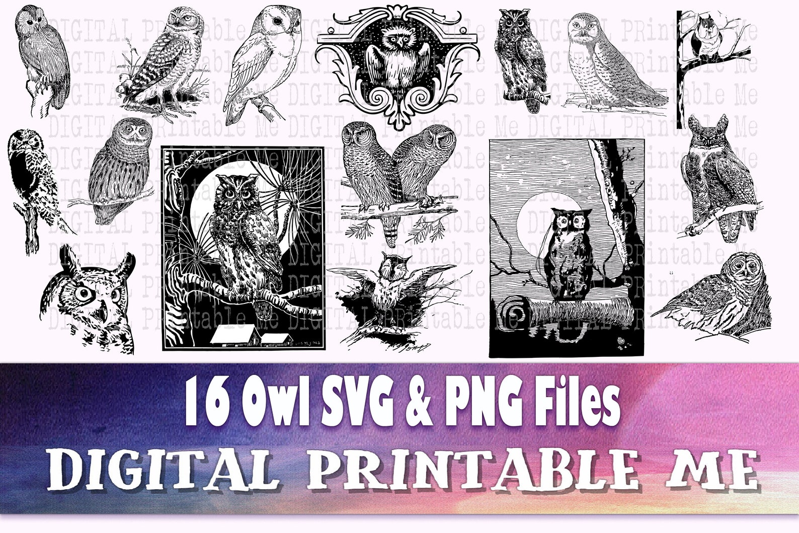 Owl SVG Bundle PMG Pack Clip Art 16 Images Instant - Etsy