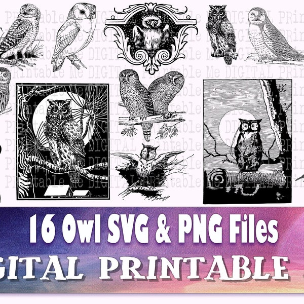 Owl Digital Clip Art - Etsy