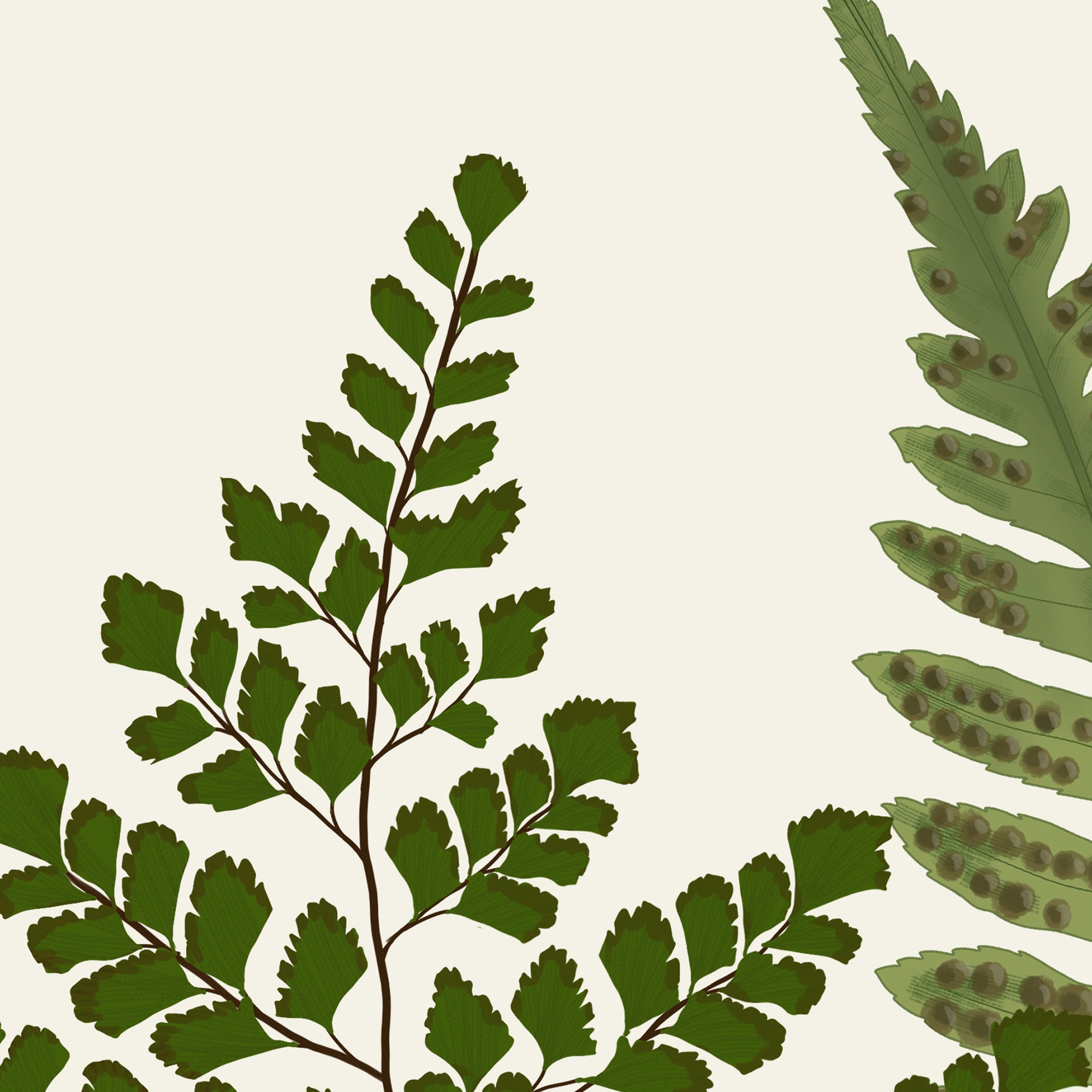 Fern Grove 2 Botanical Pillow Cover Green Fern cushion | Etsy