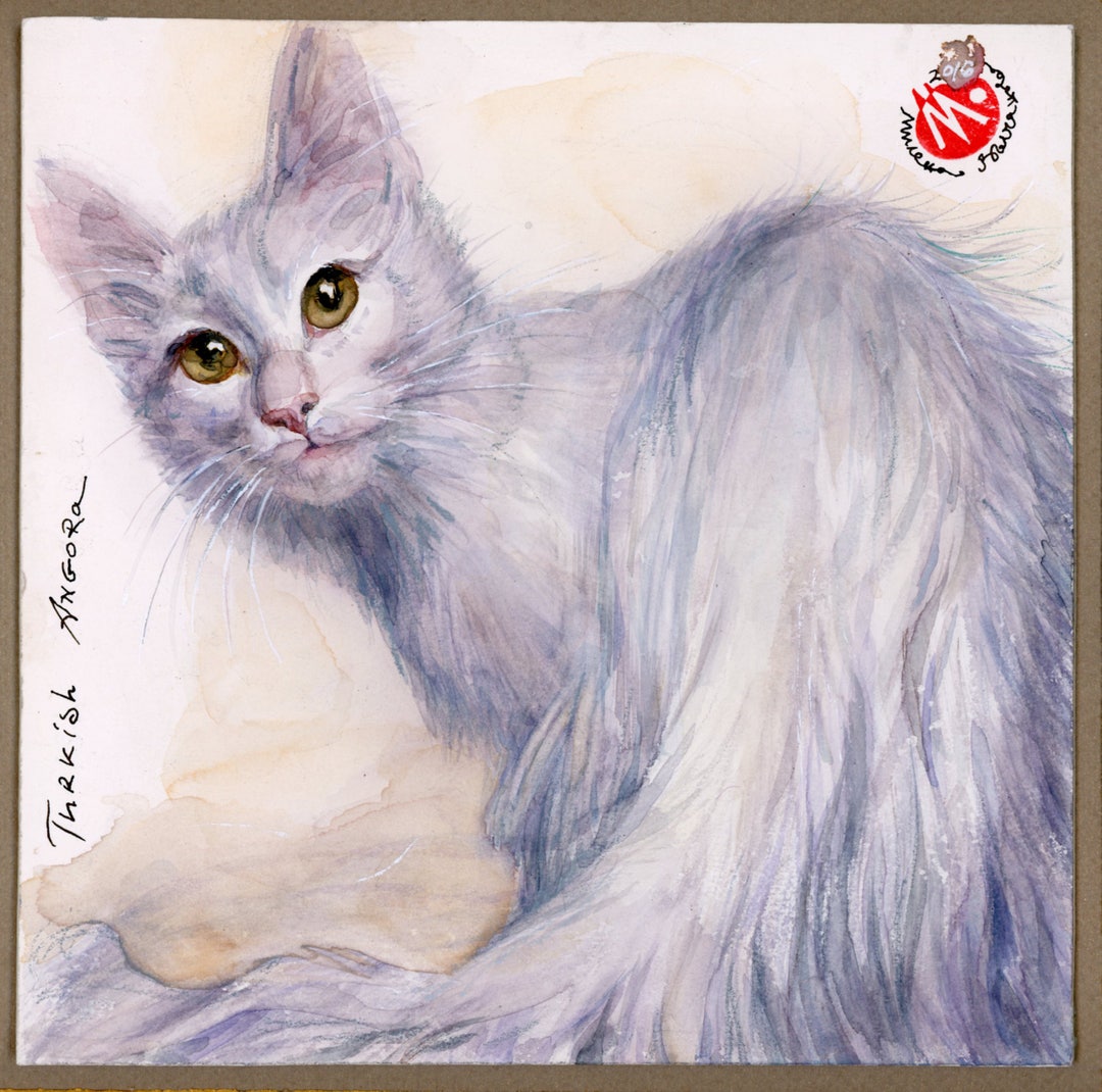 Turkish Angora Cat Painting Cat Art PRINT of Watercolour Painting Cat ...