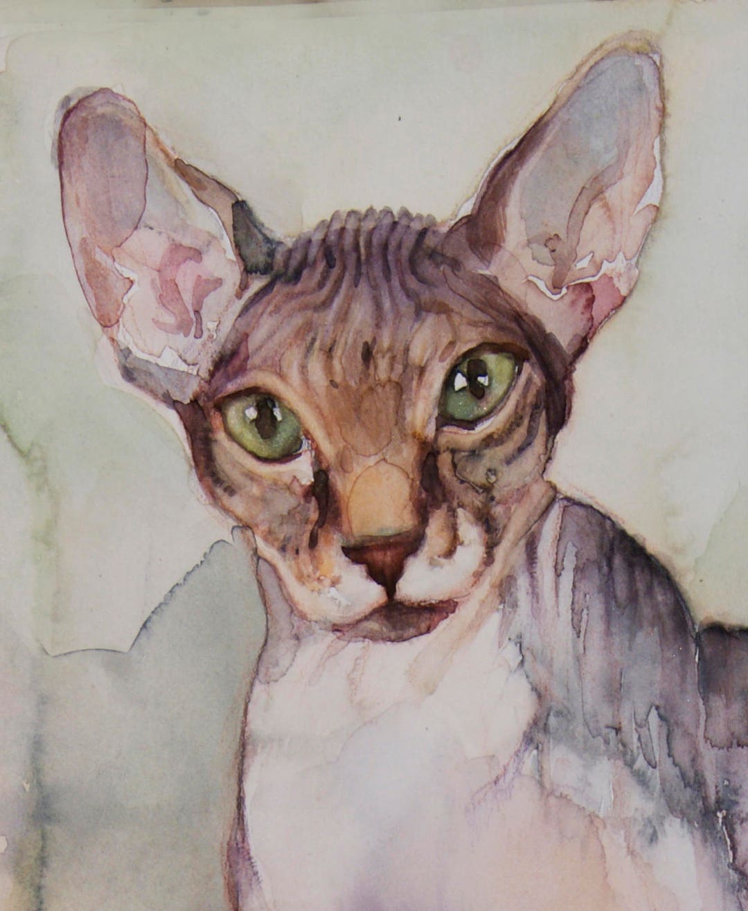 SPHINX Cat-cat Art Print - Watercolor Cat Painting, Cat Print, Cat ...