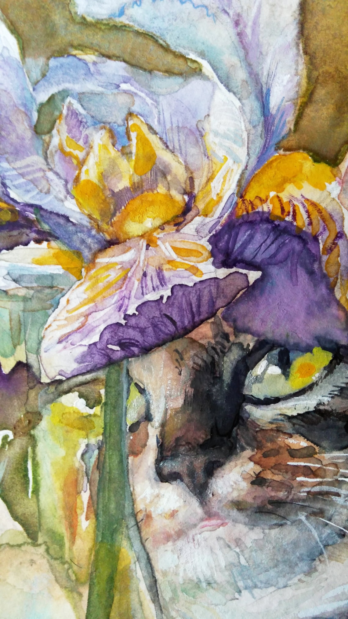 Siberian Kitten With Flower Iris- LIMITED EDITION Signed Fine Art Print ...
