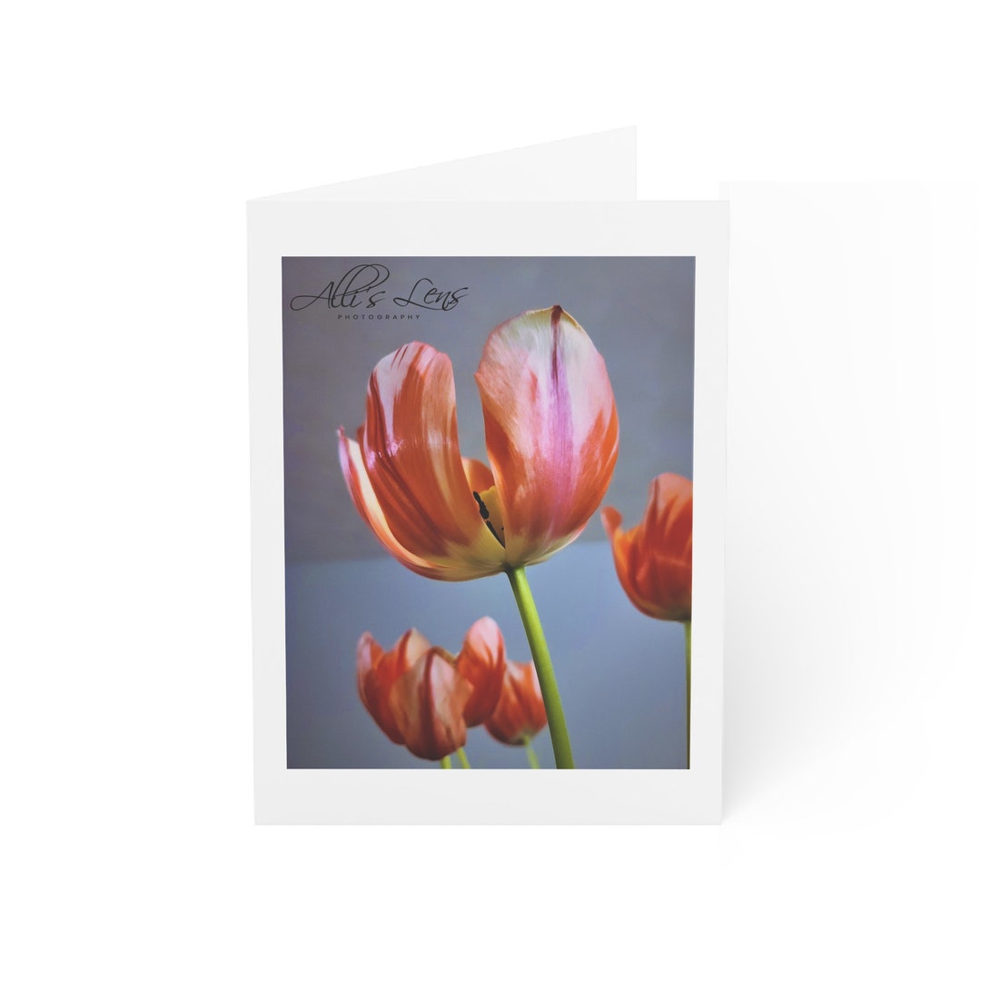 Tulip, Blank Note Cards, Greeting Cards, Stationery (1, 10, 30, and ...