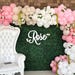Artificial Grass Rollup Backdrop: Wedding, Birthday, Event Prop ...