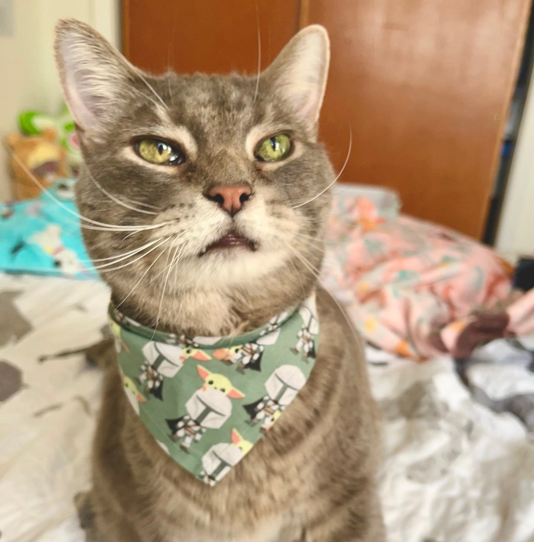 Cartoon Mando and Grogu Dog/cat Bandana - Etsy