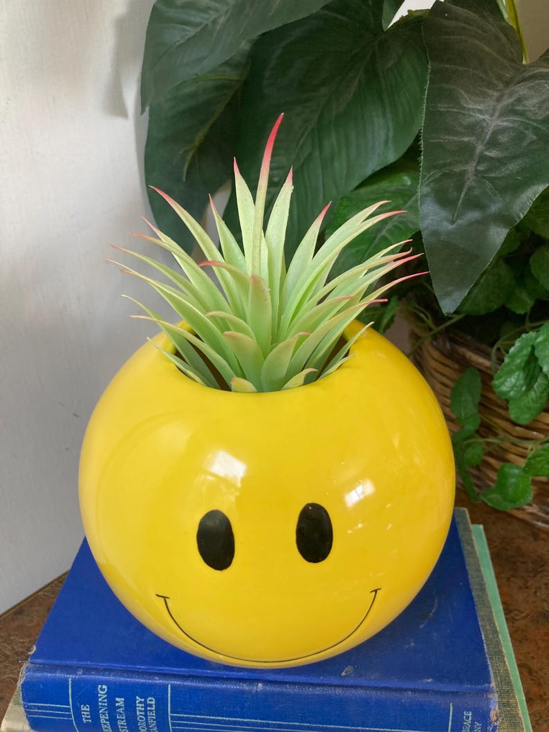Yellow Smiley Planter - Etsy