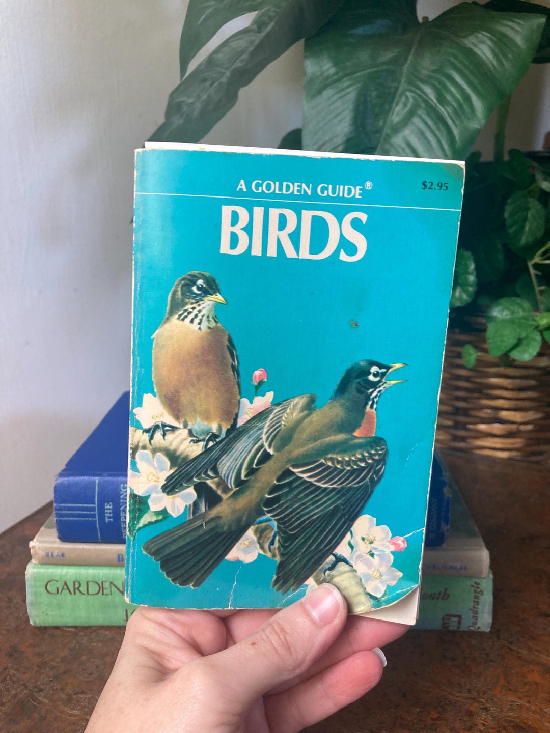 Vintage Bird Guide Book as is Pages Lose - Etsy