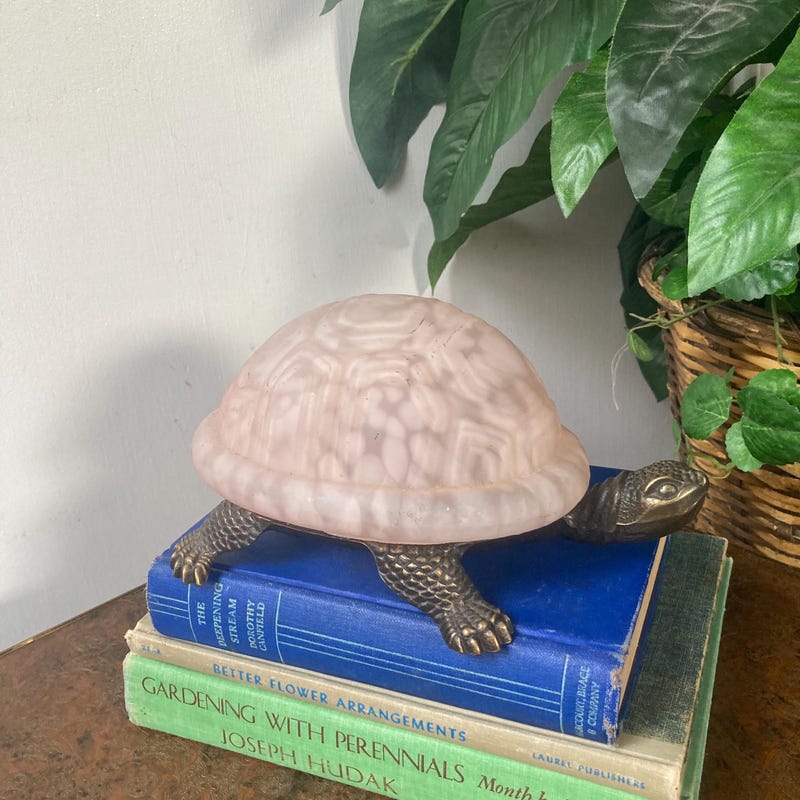 Turtle Lamp - Etsy