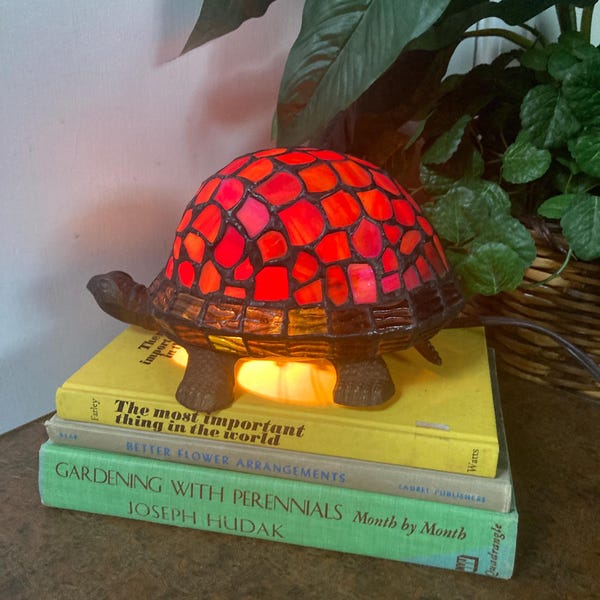 Turtle Lamp - Etsy