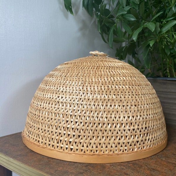Wicker Lamp Shade - Etsy