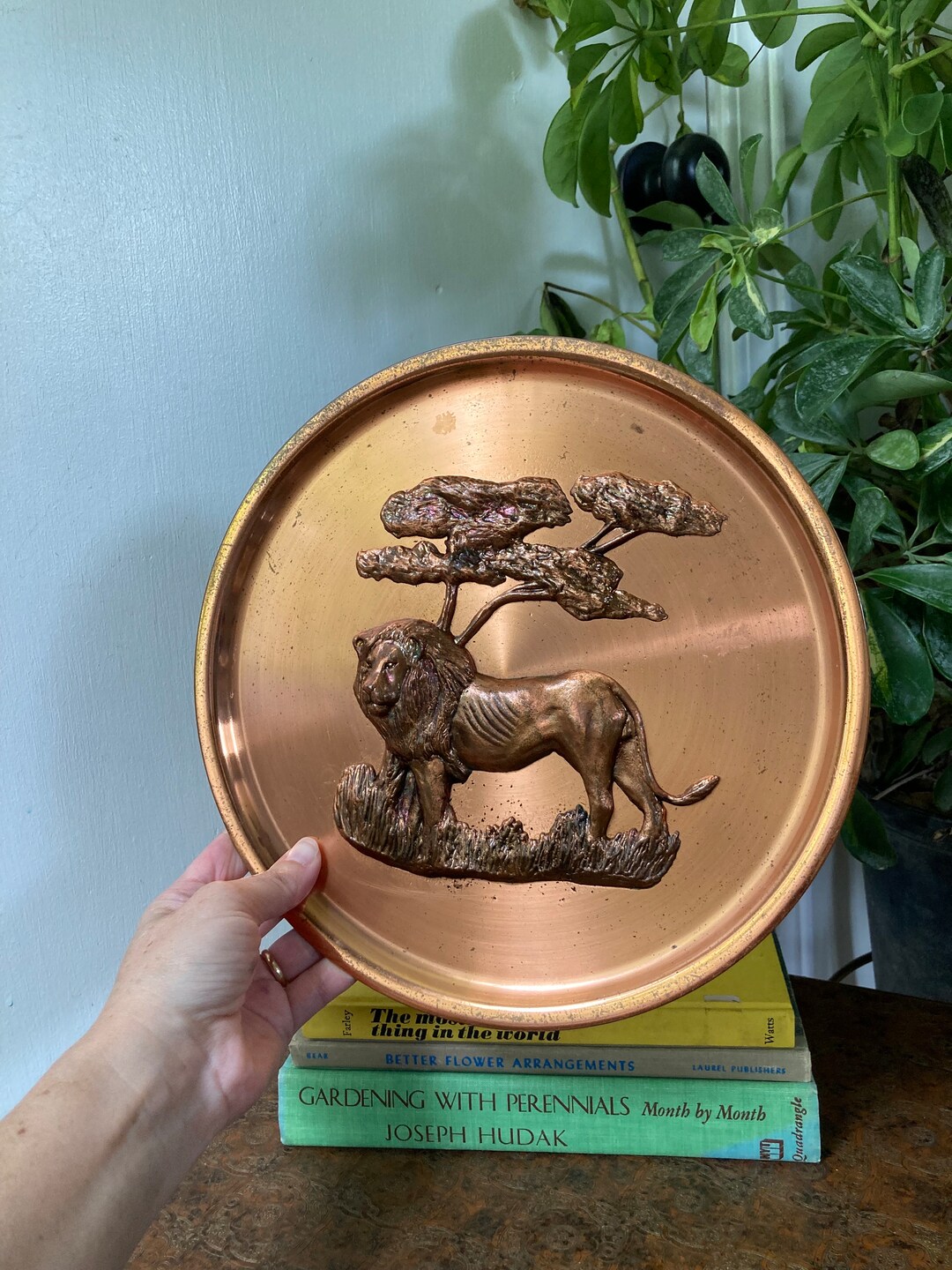 Vintage Copper Lion Wall Tray - Etsy