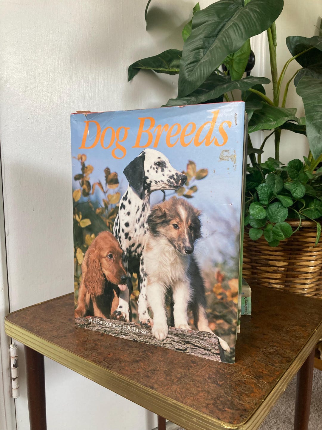 Dog Breeds Book 1984 - Etsy