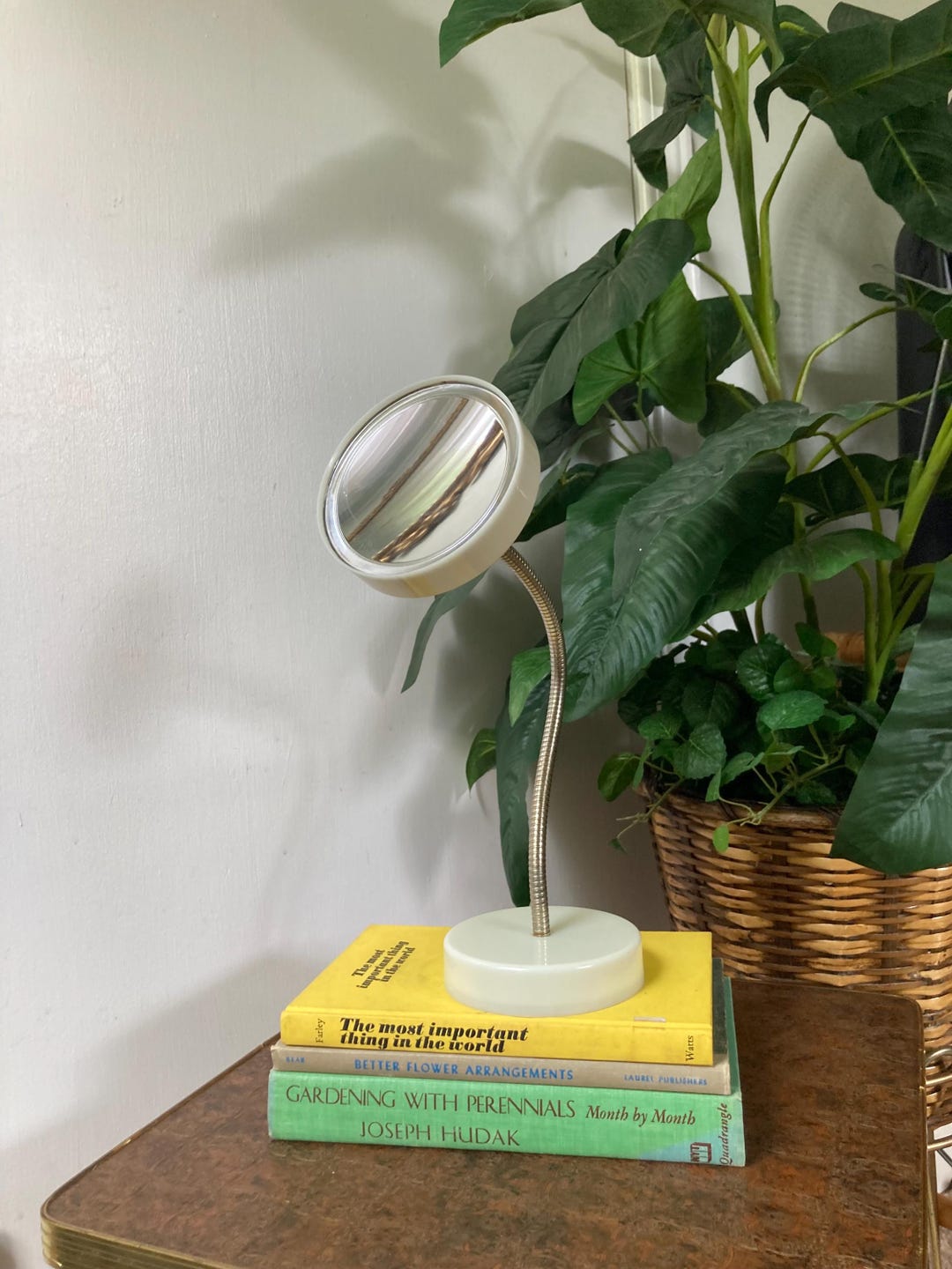 Bendy Neck Mirror 1975 - Etsy