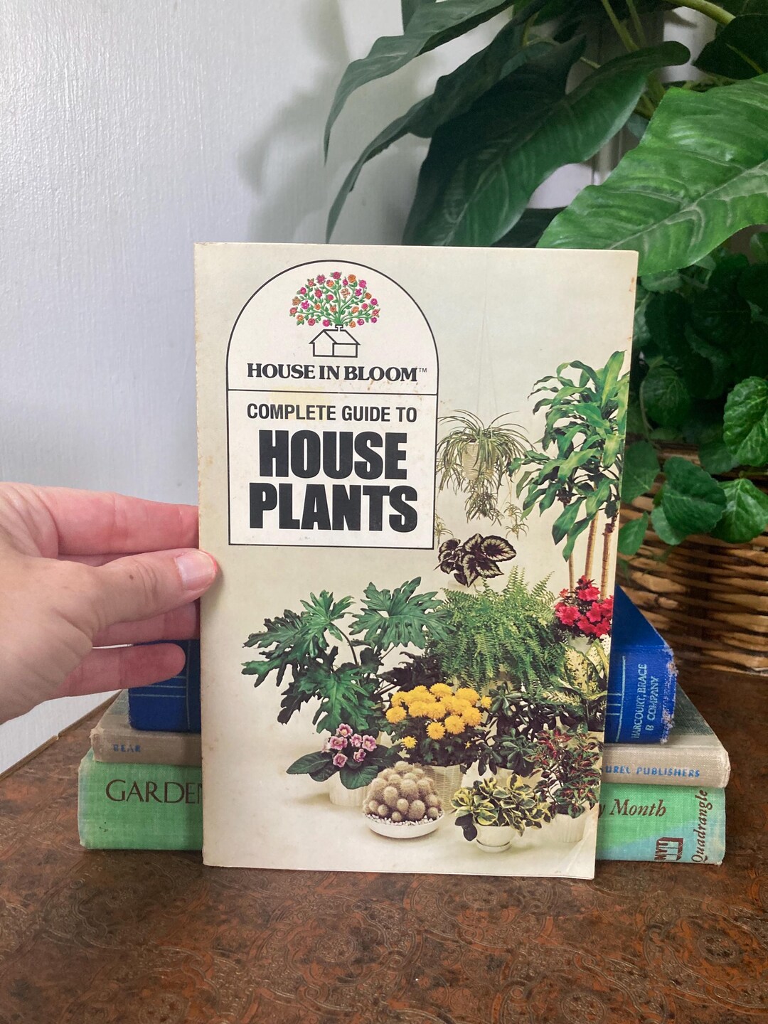 Complete Guide to Houseplants 1977 - Etsy