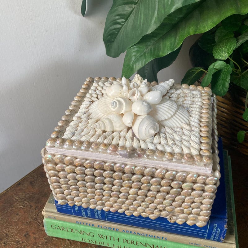 Seashell Box - Etsy