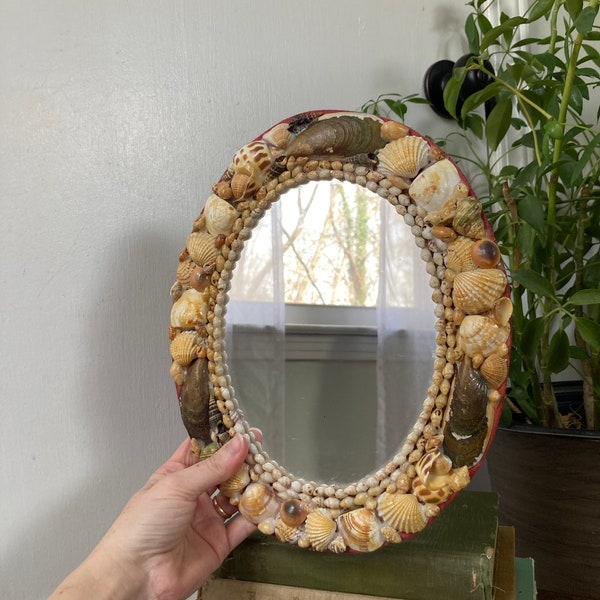 Sea Shell Mirror - Etsy