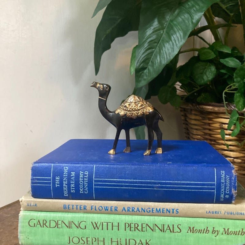 Camel Figurine - Etsy