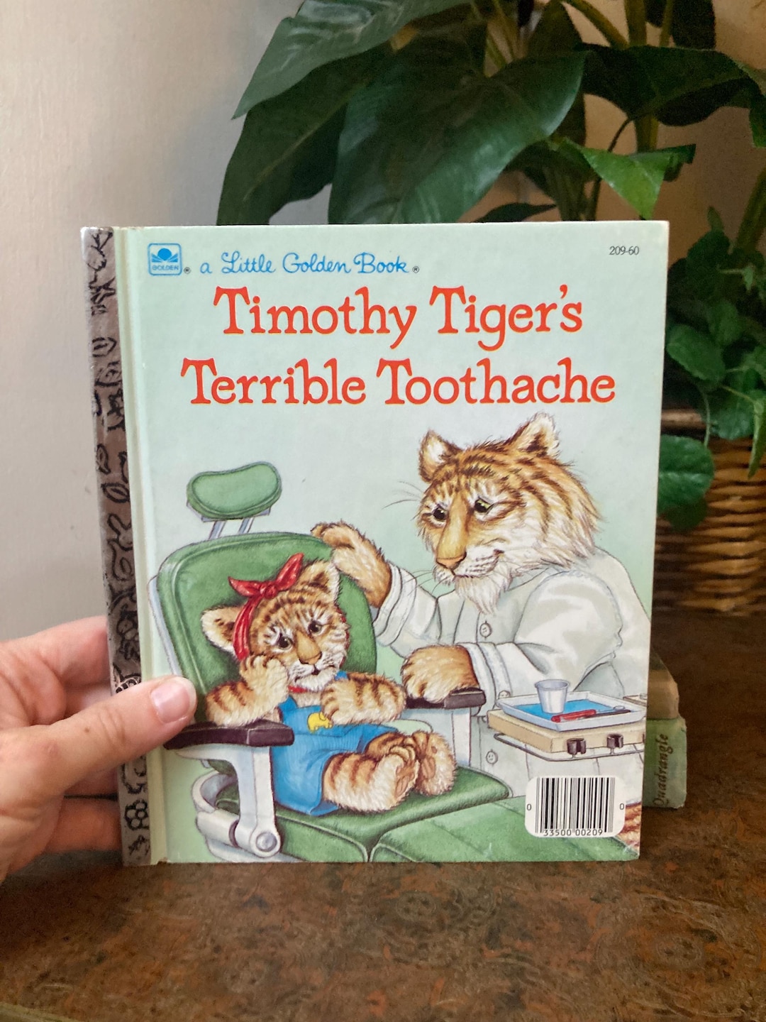 Timothy Tigers Terrible Toothache Little Golden Book - Etsy