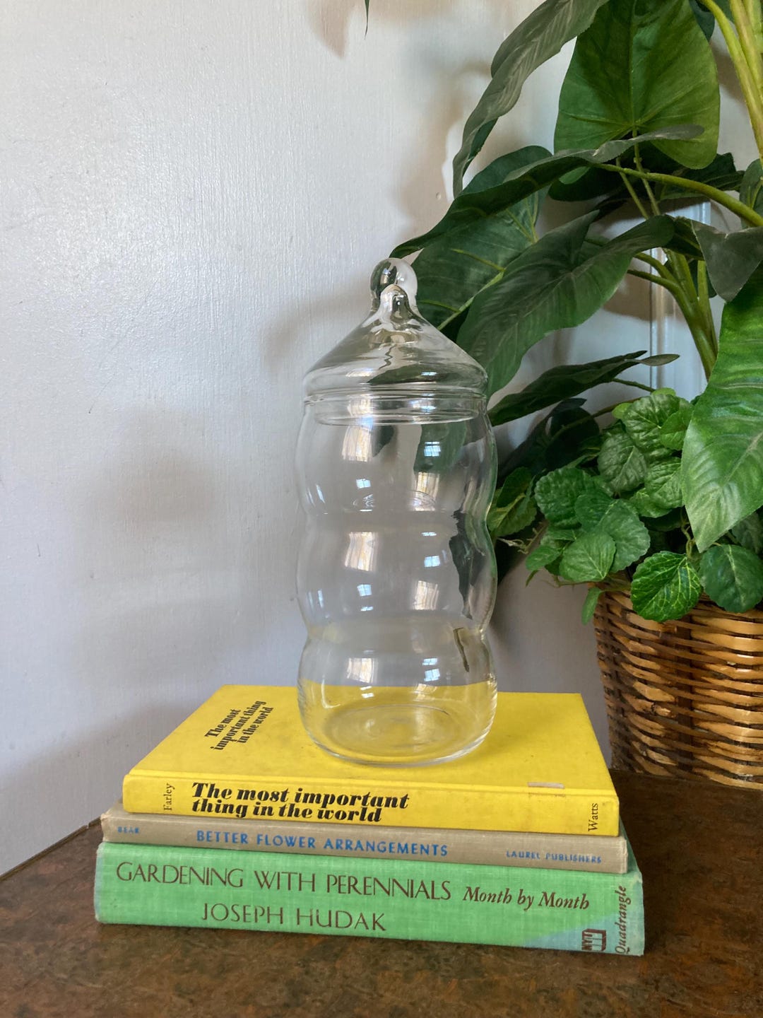 Bubble Glass Jar - Etsy