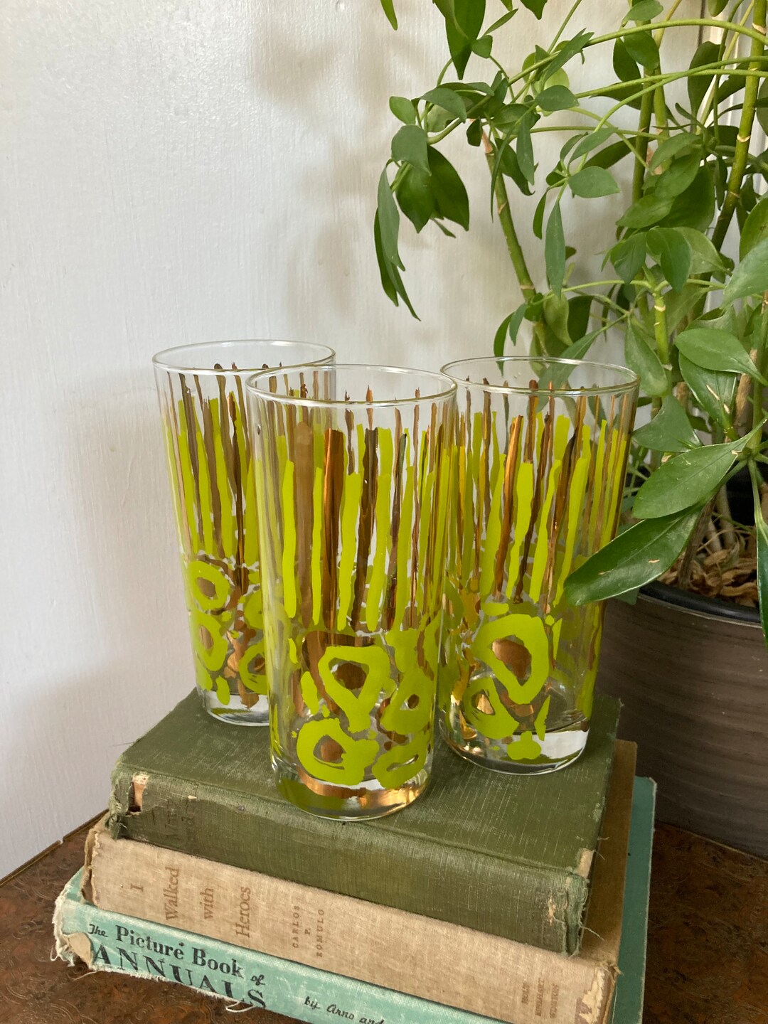 New Arcadia Studio Green and Gold Glasses - Etsy