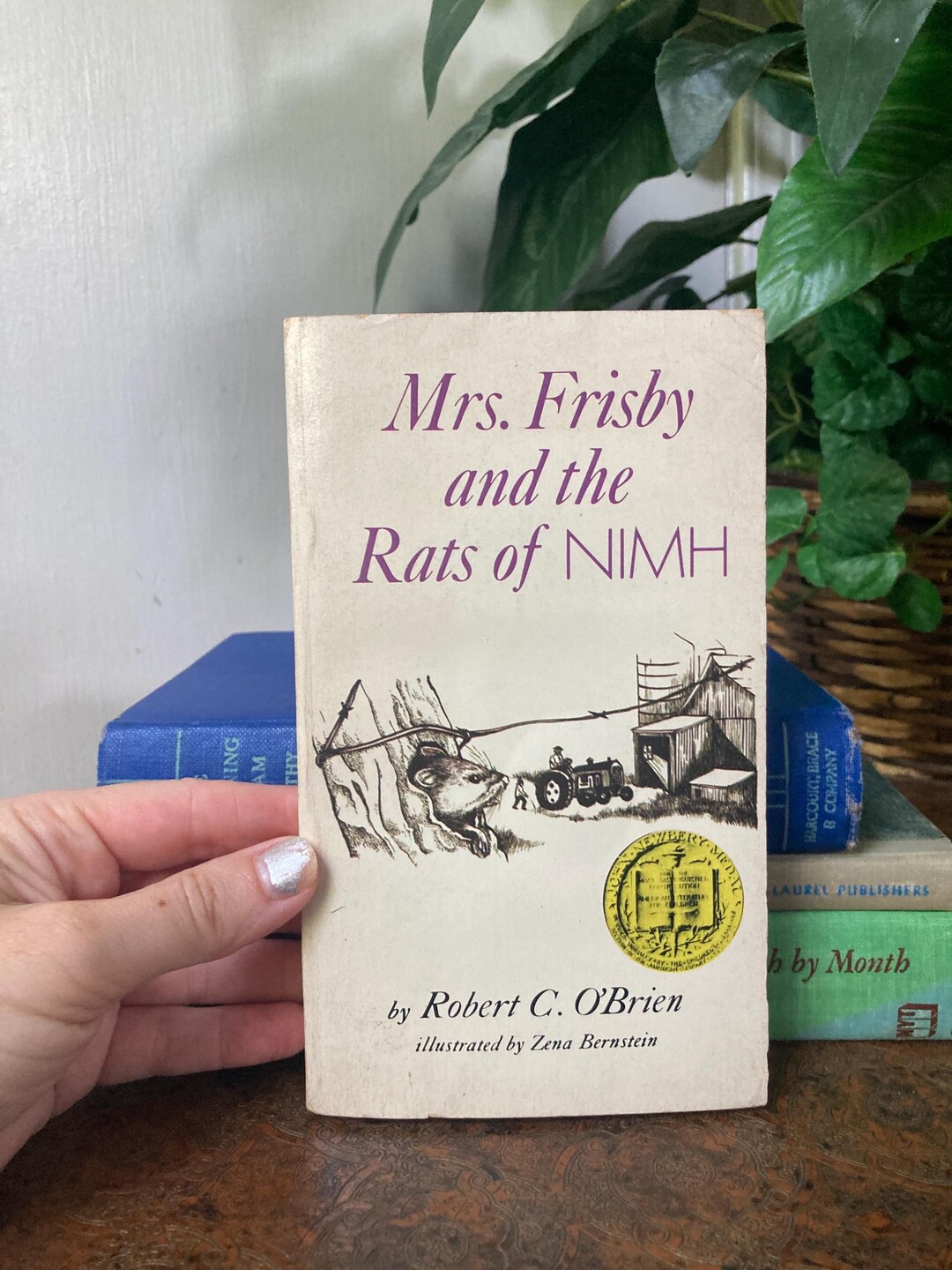 Mrs Frisby and the Rats of Nimh Book 1971 - Etsy
