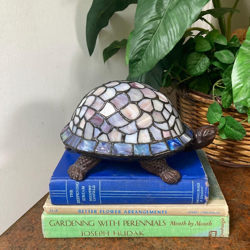 Turtle Lamp - Etsy