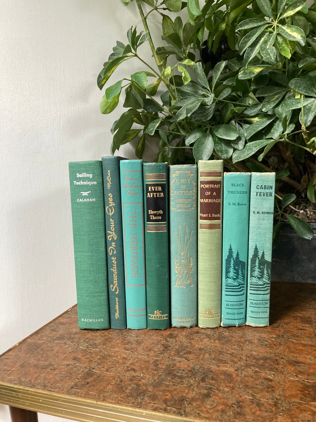 Vintage Blue Book Set. C - Etsy