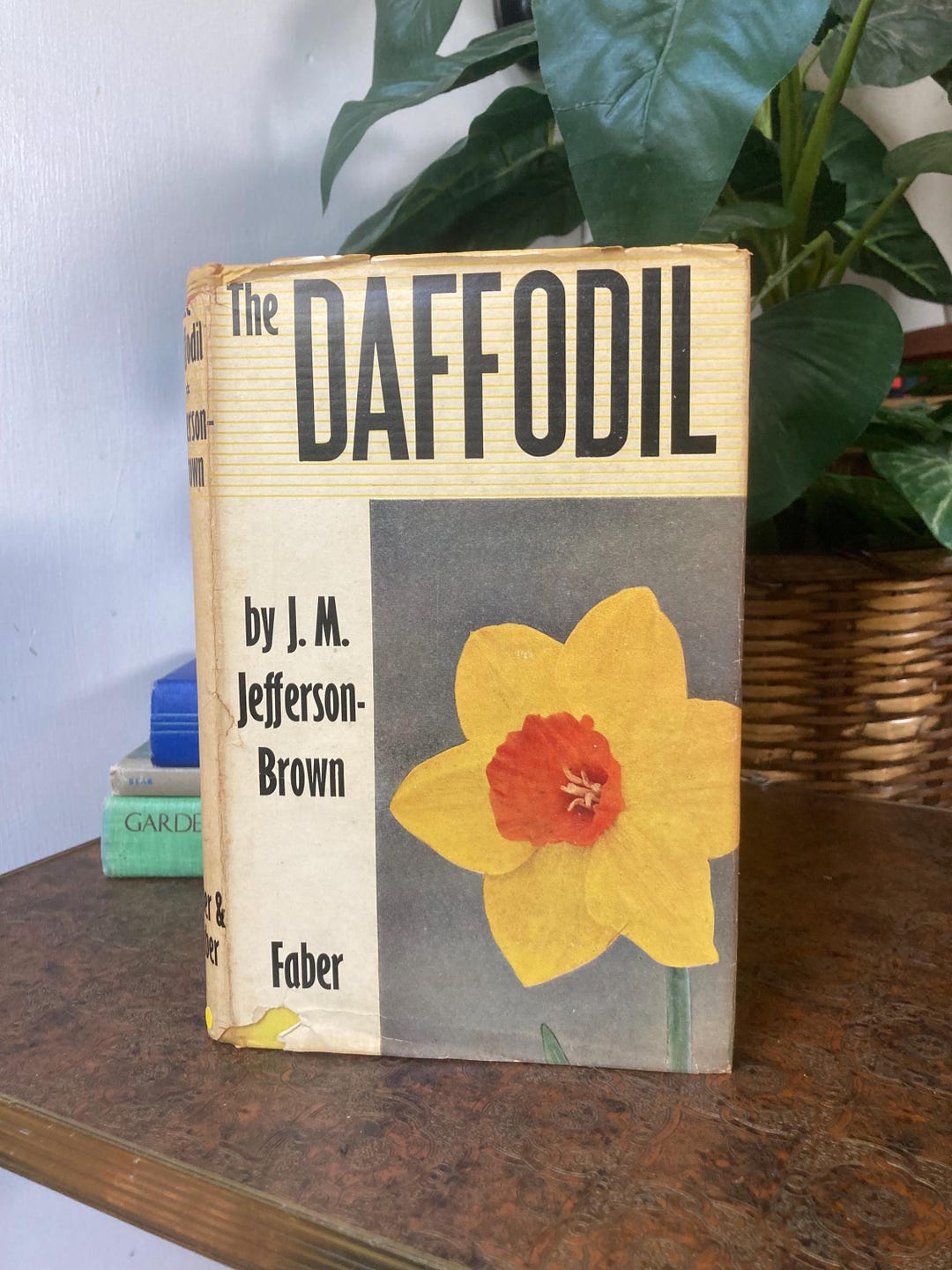 The Daffodil Book 1951 - Etsy